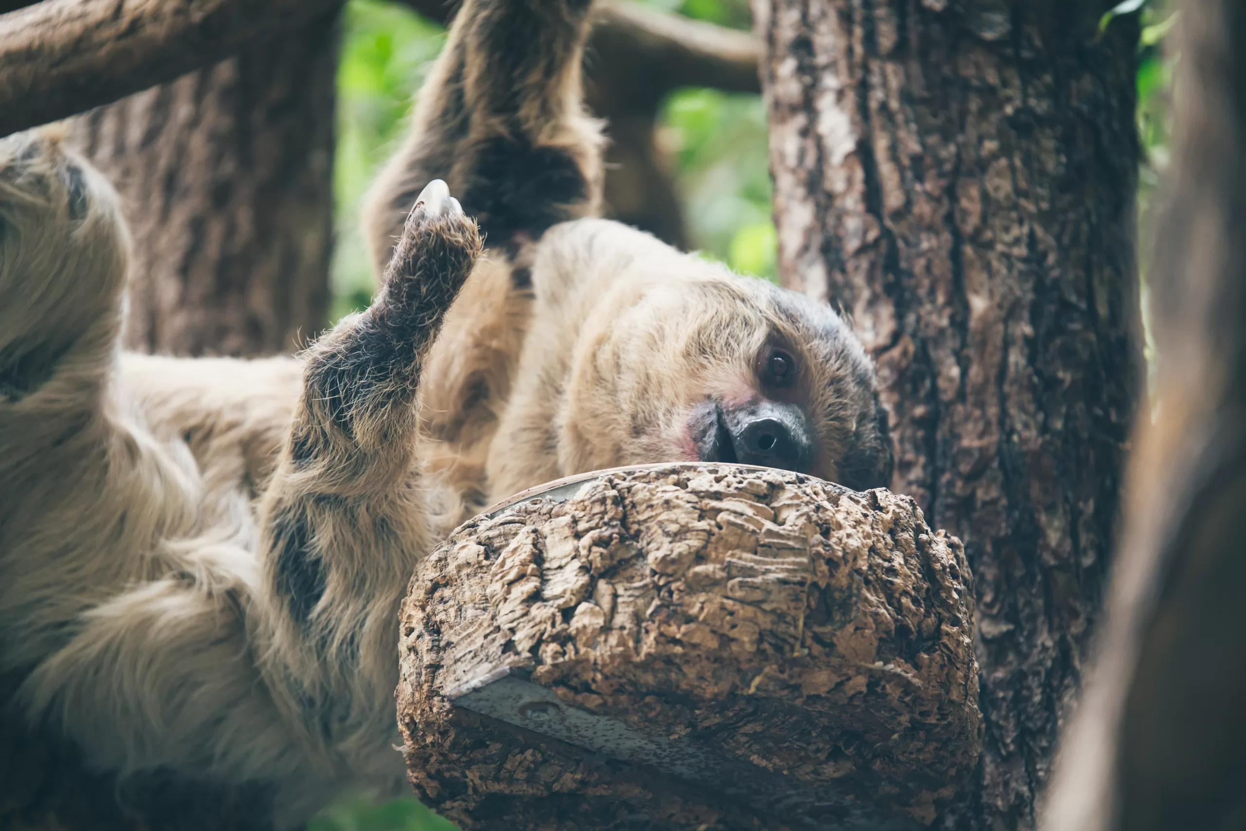 CodeTips#7: Spread operator: the slow beauty Let's go learn how and ... CodeTips#7: Spread operator: the slow beauty Let's go learn how and ...