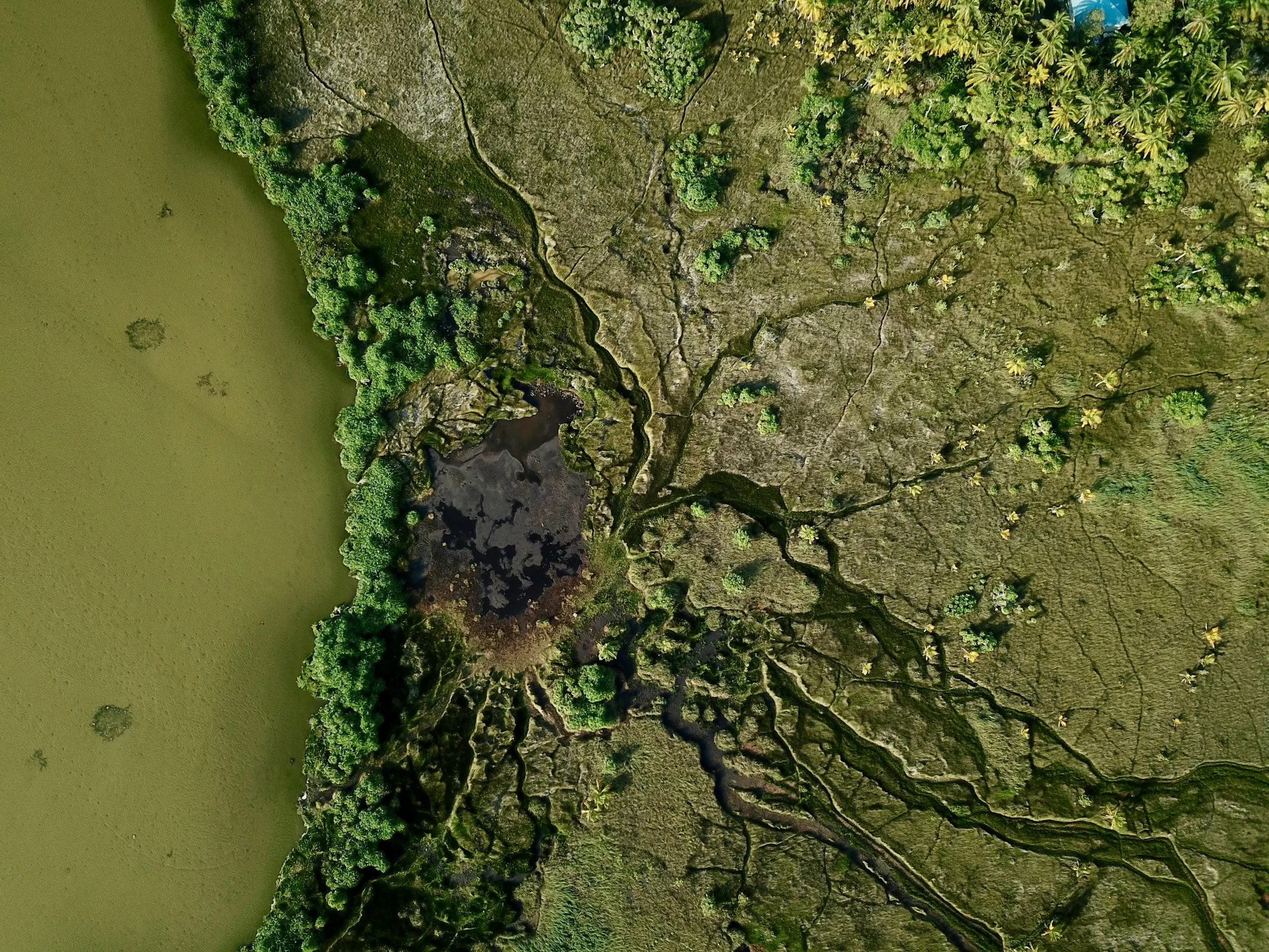 Understanding GeoTIFFs and Rendering Them in Leaflet - The Miners